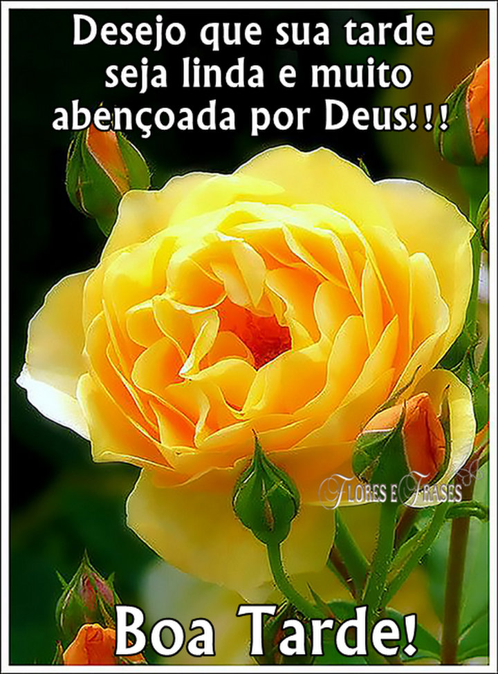 32 Mensagens de Boa tarde com lindas Gifs de paz, Amor e Felicidade