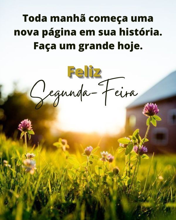 Frases de Feliz Segunda-feira Maravilhosa com lindas Imagens