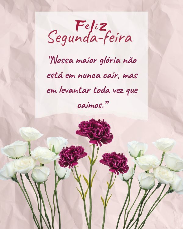 Frases de Feliz Segunda-feira Maravilhosa com lindas Imagens