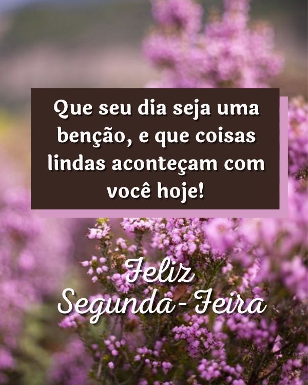 Frases de Feliz Segunda-feira Maravilhosa com lindas Imagens