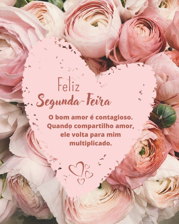 Frases de Feliz Segunda-feira Maravilhosa com lindas Imagens