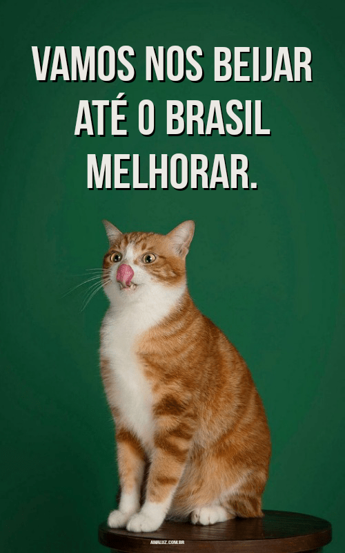 40 Frases engraçadas para Whatsapp, Facebook e Grupos